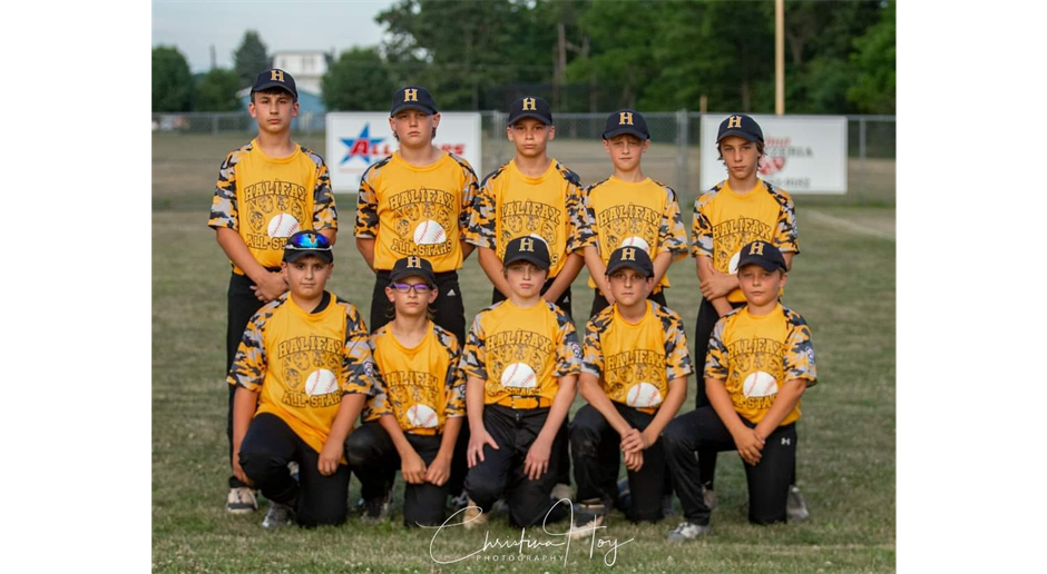 Halifax Midget Baseball League > Home